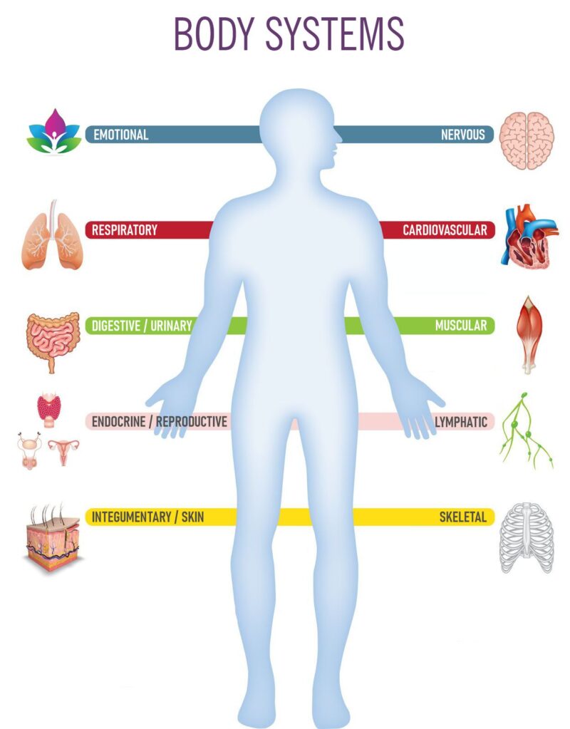 Ailment Guide - Natural Via Vita